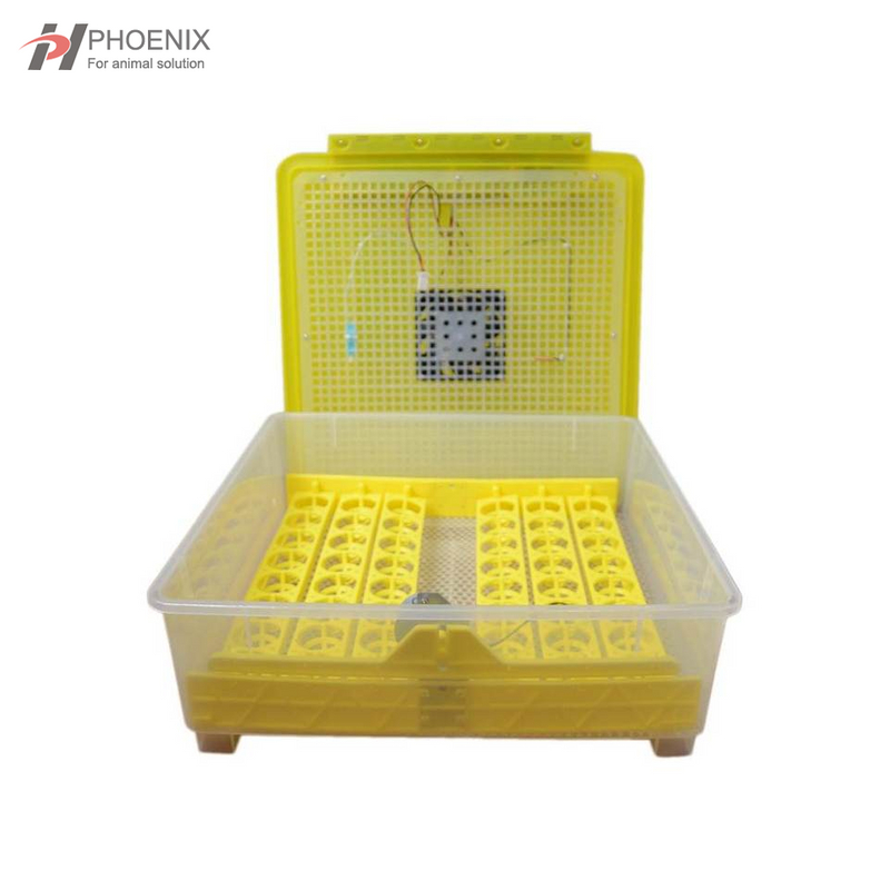 Mini Egg Incubator Digital Automatic Poultry Hatcher Egg Incubator for ...