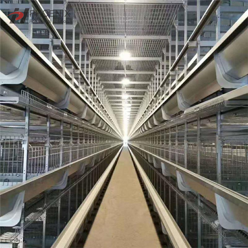H-type Battery Layer Chicken Cage System Automatic Chicken Layer Cage ...