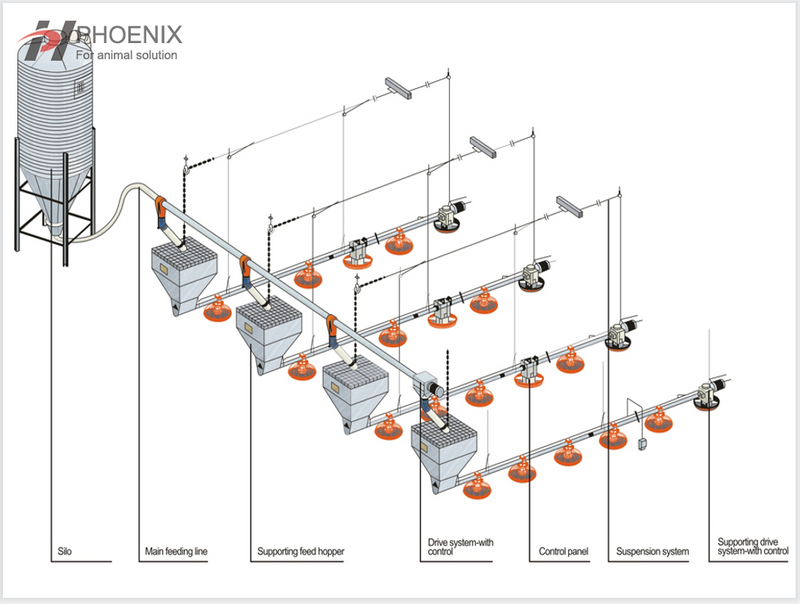 Automatic Feeding Systerm Poultry Feeding And Drinking Line - Buy ...