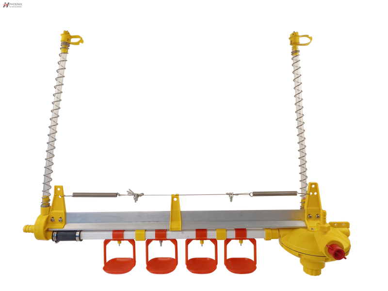 Automatic Chicken Drinking Line Complete Drinking Equipment for Poultry ...