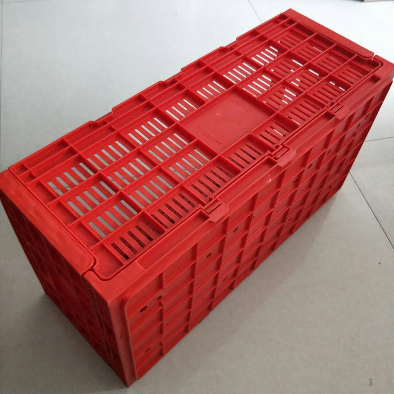 High Quality Collapsible Plastic Egg Cages Egg Transfer Boxes For ...