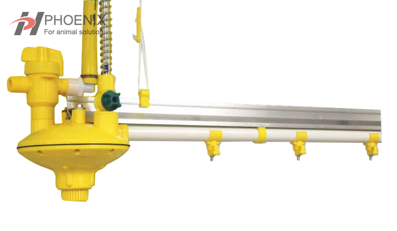 Automatic Chicken Drinking Line Complete Drinking Equipment for Poultry ...