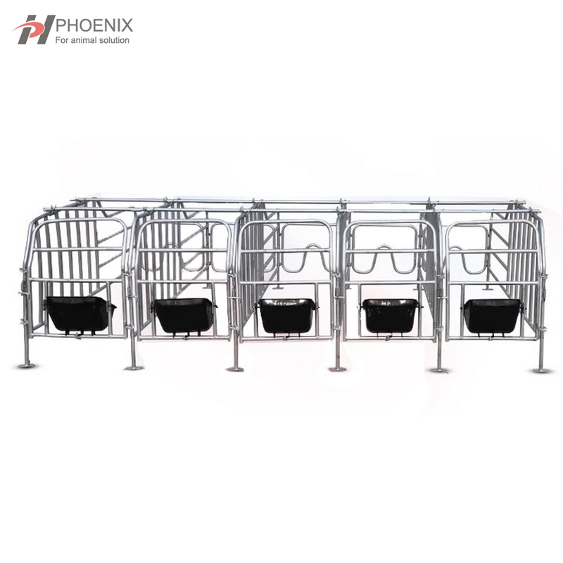 Galvanized Cages Gestation Stall Or Insemination Stall for Sow - Buy ...