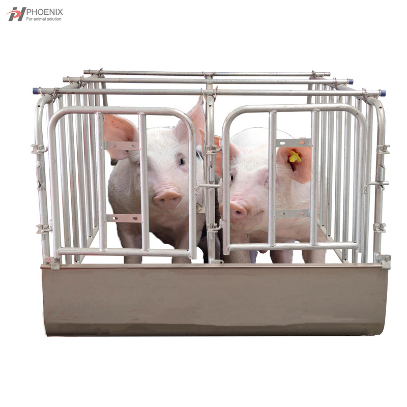 Galvanized Cages Gestation Stall Or Insemination Stall for Sow - Buy ...