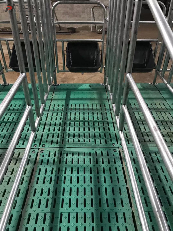 Galvanized Cages Gestation Stall Or Insemination Stall for Sow - Buy ...